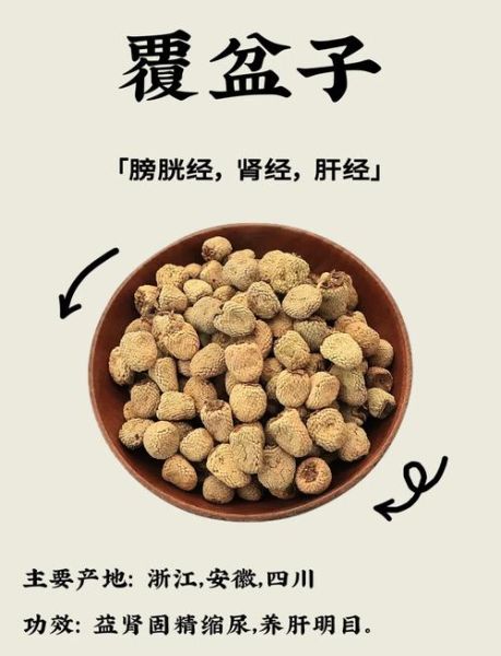 覆盆子是什么水果_覆盆子功效与作用-第2张图片-山城妙识