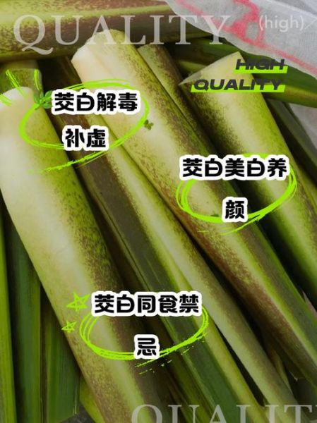 茭白的功效与作用及禁忌_什么人不能吃茭白-第1张图片-山城妙识 茭白的功效与作用及禁忌_什么人不能吃茭白-第1张图片-山城妙识