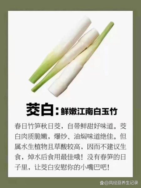 茭白的功效与作用及禁忌_什么人不能吃茭白-第3张图片-山城妙识 茭白的功效与作用及禁忌_什么人不能吃茭白-第3张图片-山城妙识