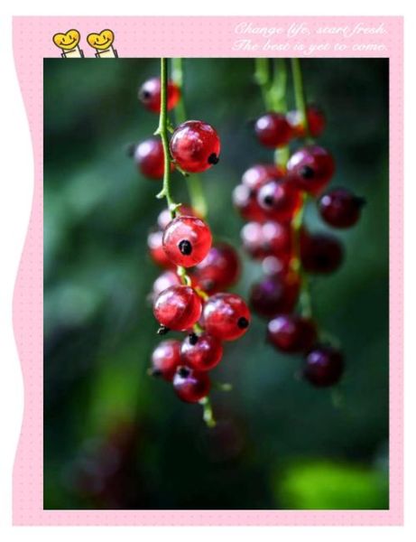 红醋栗图片怎么拍好看_红醋栗果实长什么样-第1张图片-山城妙识 红醋栗图片怎么拍好看_红醋栗果实长什么样-第1张图片-山城妙识