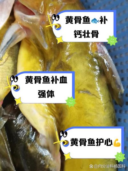 黄骨鱼怎么处理_黄骨鱼去腥方法-第2张图片-山城妙识