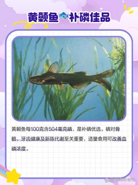 黄颡鱼吃什么_黄颡鱼最爱吃的饵料-第2张图片-山城妙识