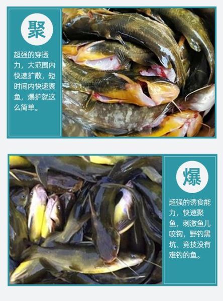 黄颡鱼吃什么_黄颡鱼最爱吃的饵料-第3张图片-山城妙识