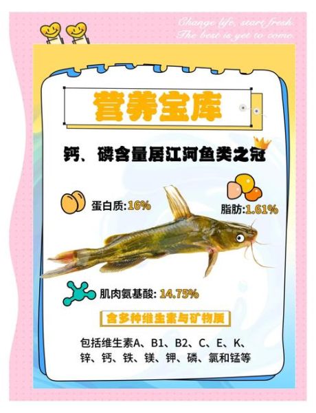 黄颡鱼吃什么_黄颡鱼最爱吃的饵料-第1张图片-山城妙识