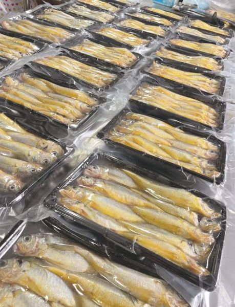 黄花鱼是海鱼还是河鱼_黄花鱼产地在哪里-第2张图片-山城妙识