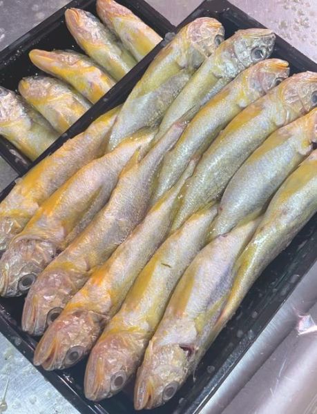 黄花鱼是海鱼还是河鱼_黄花鱼产地在哪里-第1张图片-山城妙识