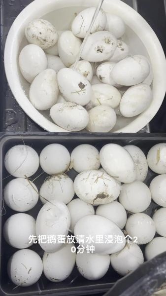 腌鹅蛋的方法_腌鹅蛋的步骤窍门-第1张图片-山城妙识