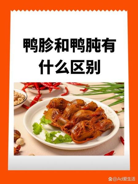 鸭肫怎么读_鸭肫的正确读音是什么-第1张图片-山城妙识 鸭肫怎么读_鸭肫的正确读音是什么-第1张图片-山城妙识