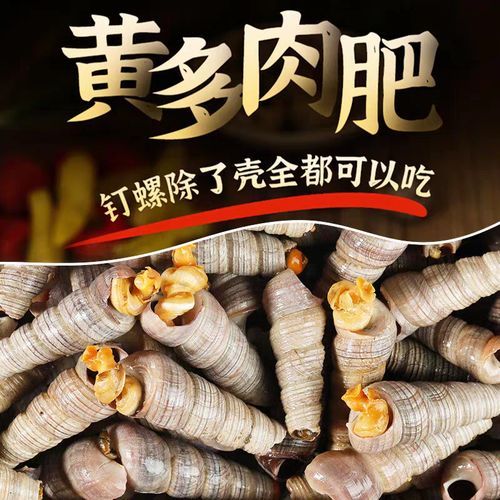 锥螺怎么吃_锥螺怎么清洗-第2张图片-山城妙识