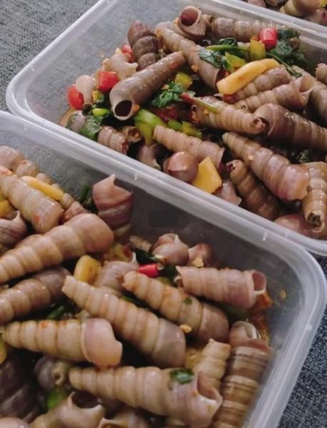 锥螺怎么吃_锥螺怎么清洗-第1张图片-山城妙识