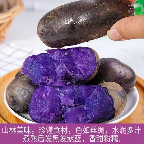 黑土豆的功效与作用_黑土豆怎么吃最营养-第2张图片-山城妙识 黑土豆的功效与作用_黑土豆怎么吃最营养-第2张图片-山城妙识
