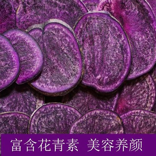 黑土豆的功效与作用_黑土豆怎么吃最营养-第1张图片-山城妙识 黑土豆的功效与作用_黑土豆怎么吃最营养-第1张图片-山城妙识