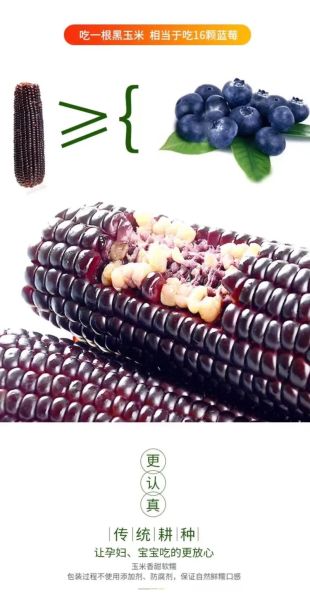 黑玉米能减肥吗_黑玉米减肥怎么吃-第3张图片-山城妙识