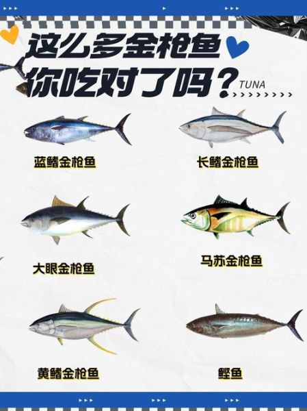 金枪鱼种类大全_哪种最好吃-第1张图片-山城妙识 金枪鱼种类大全_哪种最好吃-第1张图片-山城妙识