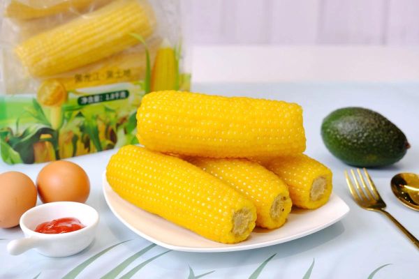 鲜玉米棒批发多少钱一斤_鲜玉米棒批发哪里便宜-第1张图片-山城妙识