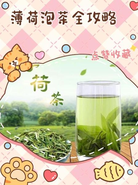 薄荷茶怎么泡_薄荷茶可以天天喝吗-第2张图片-山城妙识