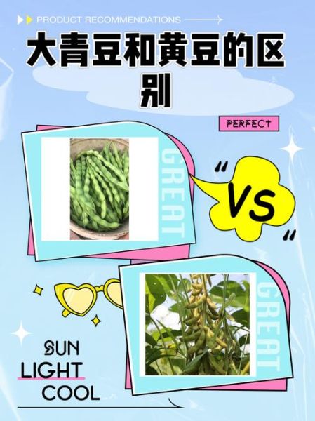 黄豆和青豆哪个蛋白质更高_区别与功效全解析-第1张图片-山城妙识