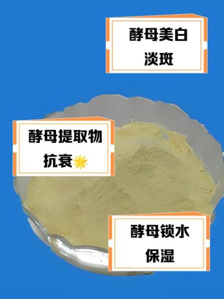 酵母提取物对皮肤好吗_酵母提取物的功效与作用-第1张图片-山城妙识