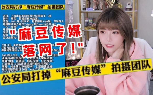 麻豆系列_果冻传媒怎么找最新资源-第3张图片-山城妙识