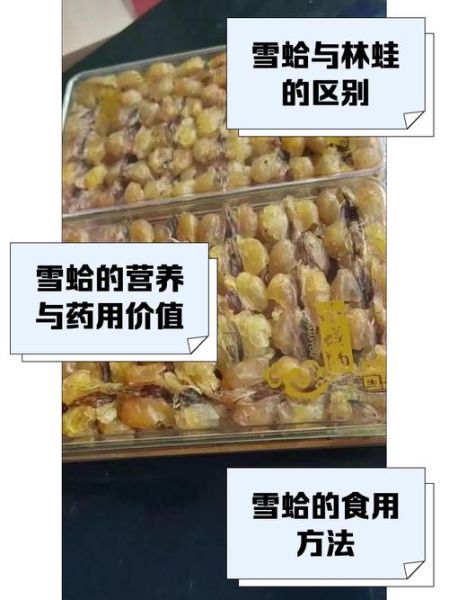 雪蛤价格多少钱一盒_雪蛤一盒价格是多少-第2张图片-山城妙识 雪蛤价格多少钱一盒_雪蛤一盒价格是多少-第2张图片-山城妙识