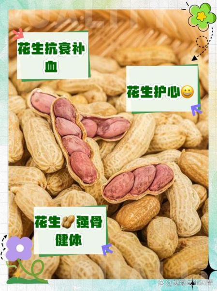 水果花生的功效与作用_水果花生能减肥吗-第1张图片-山城妙识 水果花生的功效与作用_水果花生能减肥吗-第1张图片-山城妙识