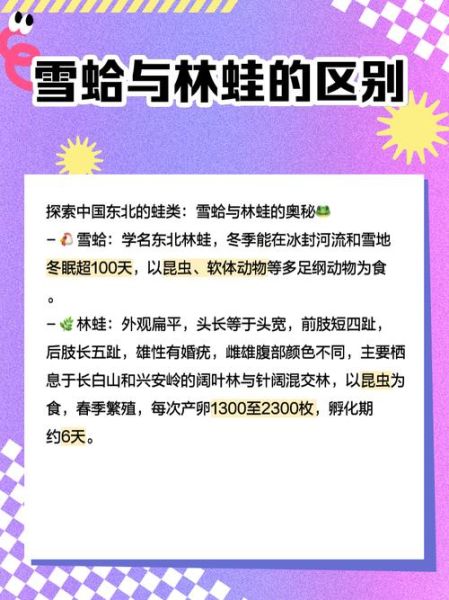 雪蛤价格多少钱一盒_雪蛤一盒价格是多少-第3张图片-山城妙识 雪蛤价格多少钱一盒_雪蛤一盒价格是多少-第3张图片-山城妙识
