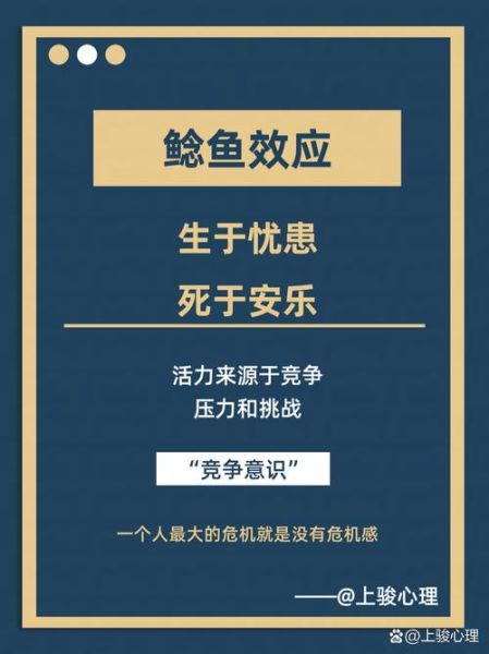 鲢鱼效应什么意思_鲢鱼效应对团队的影响-第1张图片-山城妙识 鲢鱼效应什么意思_鲢鱼效应对团队的影响-第1张图片-山城妙识