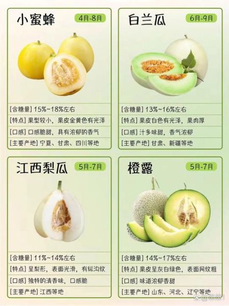 香瓜品种有哪些_香瓜图片怎么分辨-第3张图片-山城妙识