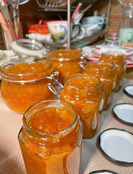 川贝怎么吃止咳化痰_川贝枇杷膏的做法-第1张图片-山城妙识