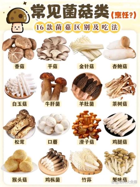 菌类是发物吗_术后能吃菌菇吗-第3张图片-山城妙识 菌类是发物吗_术后能吃菌菇吗-第3张图片-山城妙识