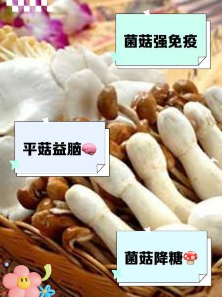 菌类是发物吗_术后能吃菌菇吗-第2张图片-山城妙识 菌类是发物吗_术后能吃菌菇吗-第2张图片-山城妙识