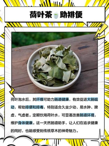 女人长期喝荷叶水好吗_荷叶水副作用-第1张图片-山城妙识