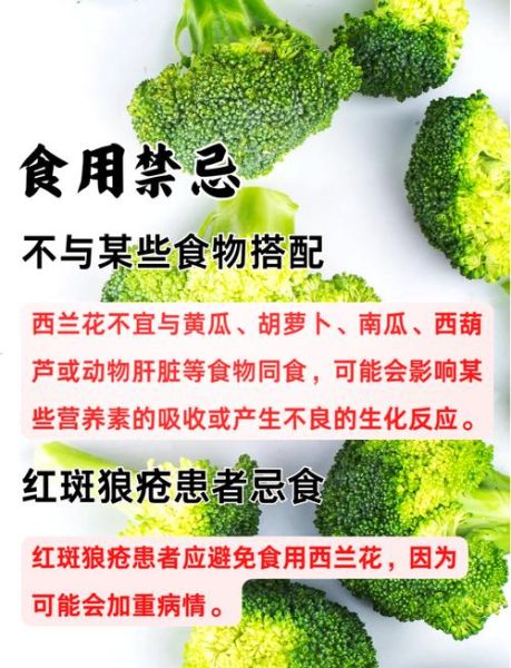 长期吃西兰花有什么好处_长期吃西兰花会伤胃吗-第1张图片-山城妙识