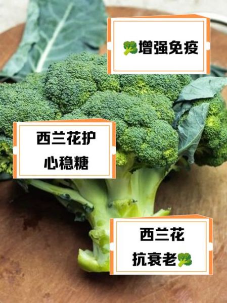 长期吃西兰花有什么好处_长期吃西兰花会伤胃吗-第2张图片-山城妙识