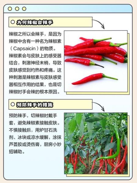 辣椒辣到手了最快消除_辣椒辣到手怎么办-第1张图片-山城妙识