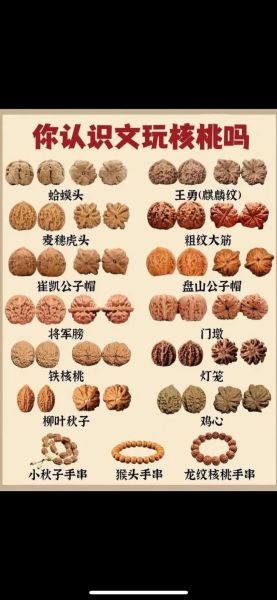 中国核桃哪个品种最好吃_四大名核口感排名-第3张图片-山城妙识