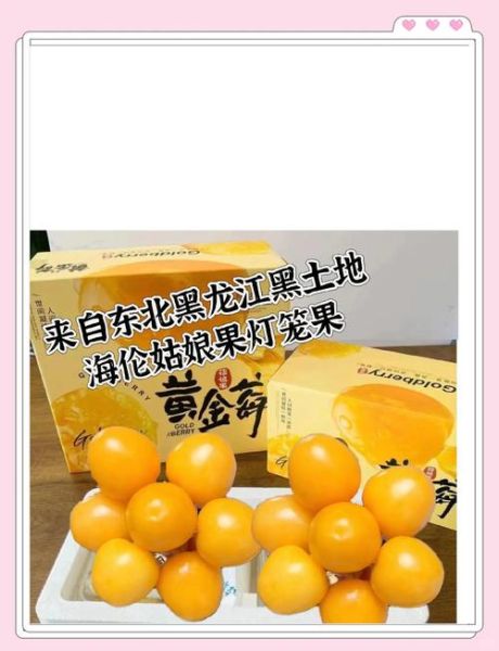 黑龙江特产水果有哪些_黑龙江水果哪里最正宗-第3张图片-山城妙识