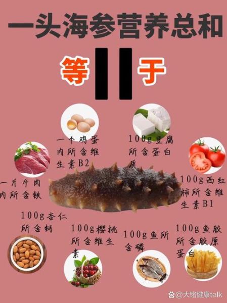 海参的营养价值高吗_海参的功效与作用-第3张图片-山城妙识 海参的营养价值高吗_海参的功效与作用-第3张图片-山城妙识