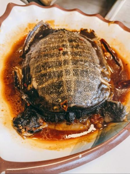 霸王别姬是什么菜系_霸王别姬菜名由来-第3张图片-山城妙识 霸王别姬是什么菜系_霸王别姬菜名由来-第3张图片-山城妙识