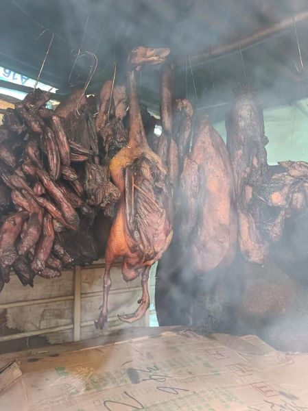 鱼香叶长什么样_鱼香叶图片如何辨认-第2张图片-山城妙识 鱼香叶长什么样_鱼香叶图片如何辨认-第2张图片-山城妙识