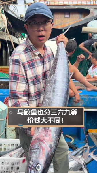 新鲜马鲛鱼多少钱一斤_马鲛鱼价格行情-第1张图片-山城妙识 新鲜马鲛鱼多少钱一斤_马鲛鱼价格行情-第1张图片-山城妙识