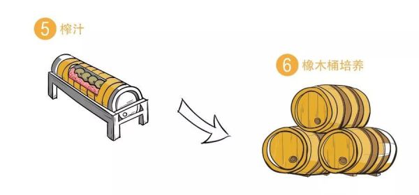 葡萄酒怎么制作_葡萄酒酿造全过程-第2张图片-山城妙识