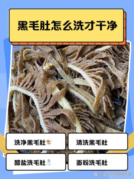 黑毛肚怎么洗才干净_黑毛肚清洗步骤图详解-第1张图片-山城妙识