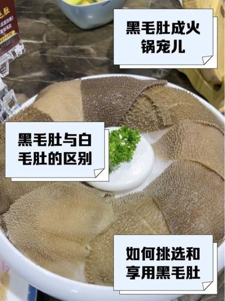 黑毛肚怎么洗才干净_黑毛肚清洗步骤图详解-第2张图片-山城妙识