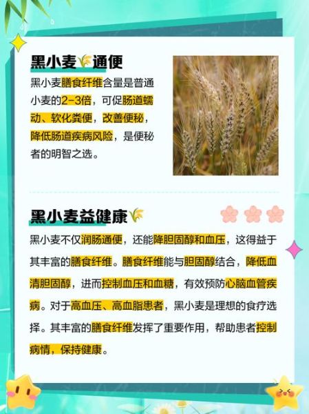 黑麦的功效与作用_黑麦怎么吃最营养-第1张图片-山城妙识