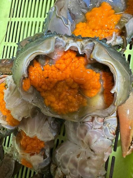 蟹黄是什么味道_蟹黄吃起来像什么-第1张图片-山城妙识