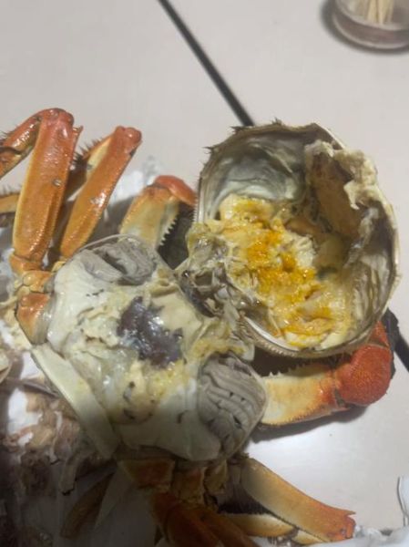 蟹黄是什么味道_蟹黄吃起来像什么-第3张图片-山城妙识