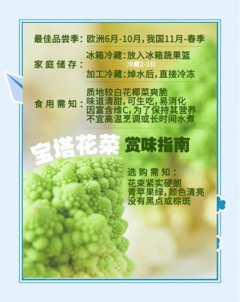 花菜英文怎么说_花菜英文怎么写-第3张图片-山城妙识