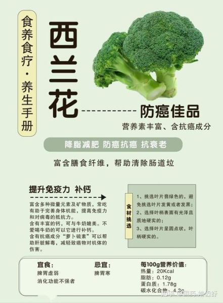 西兰花可以减肥吗_西兰花有什么营养价值-第1张图片-山城妙识