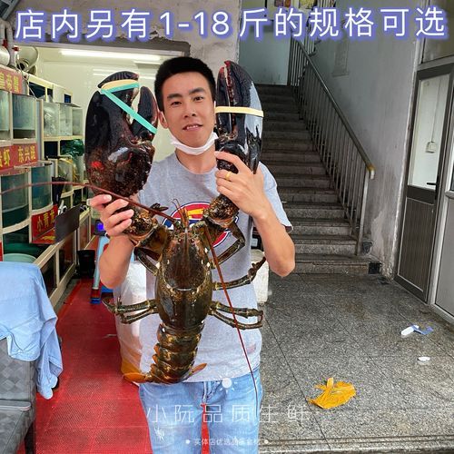 超大龙虾多少钱一只_超大龙虾怎么做好吃-第2张图片-山城妙识 超大龙虾多少钱一只_超大龙虾怎么做好吃-第2张图片-山城妙识
